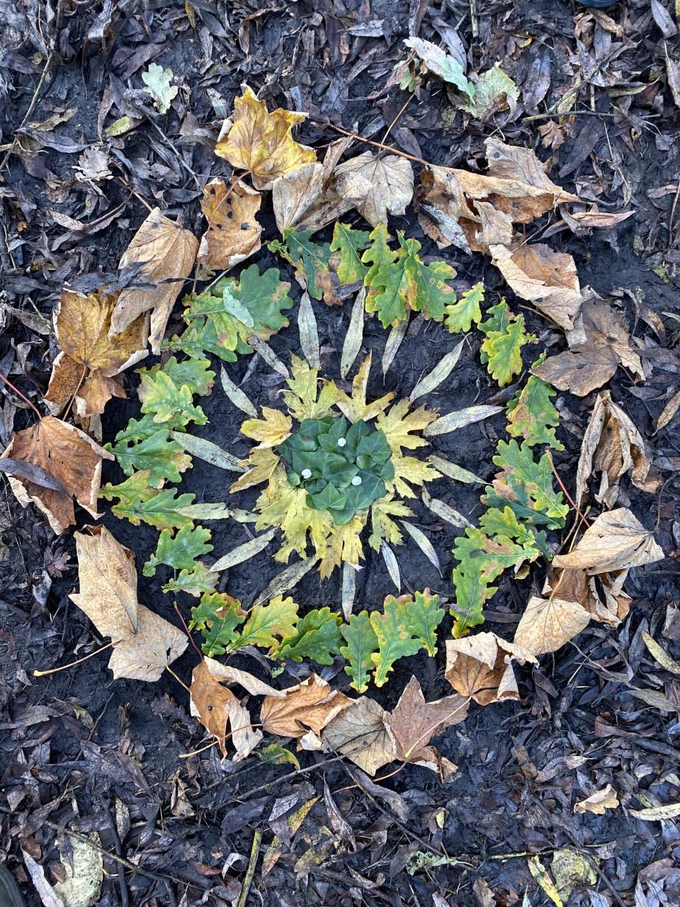 Leaf Mandalas | Ackworth Howard CE (VC) Junior & Infant School